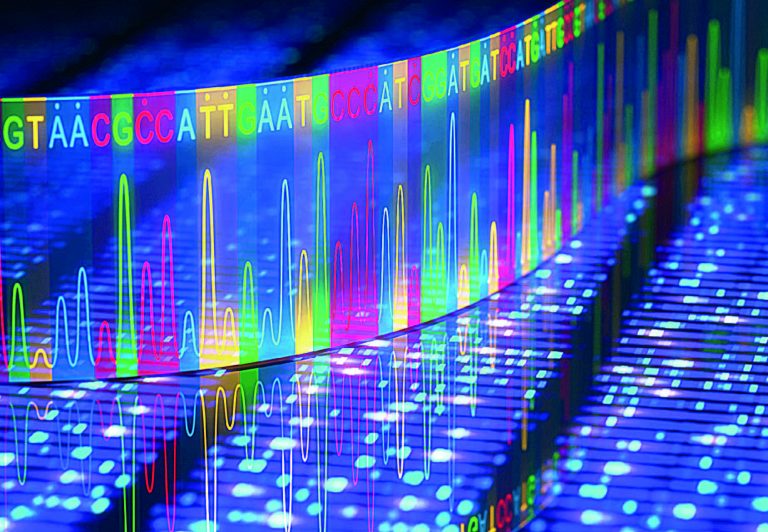 Les NBT, c’est quoi ? | Florimond Desprez