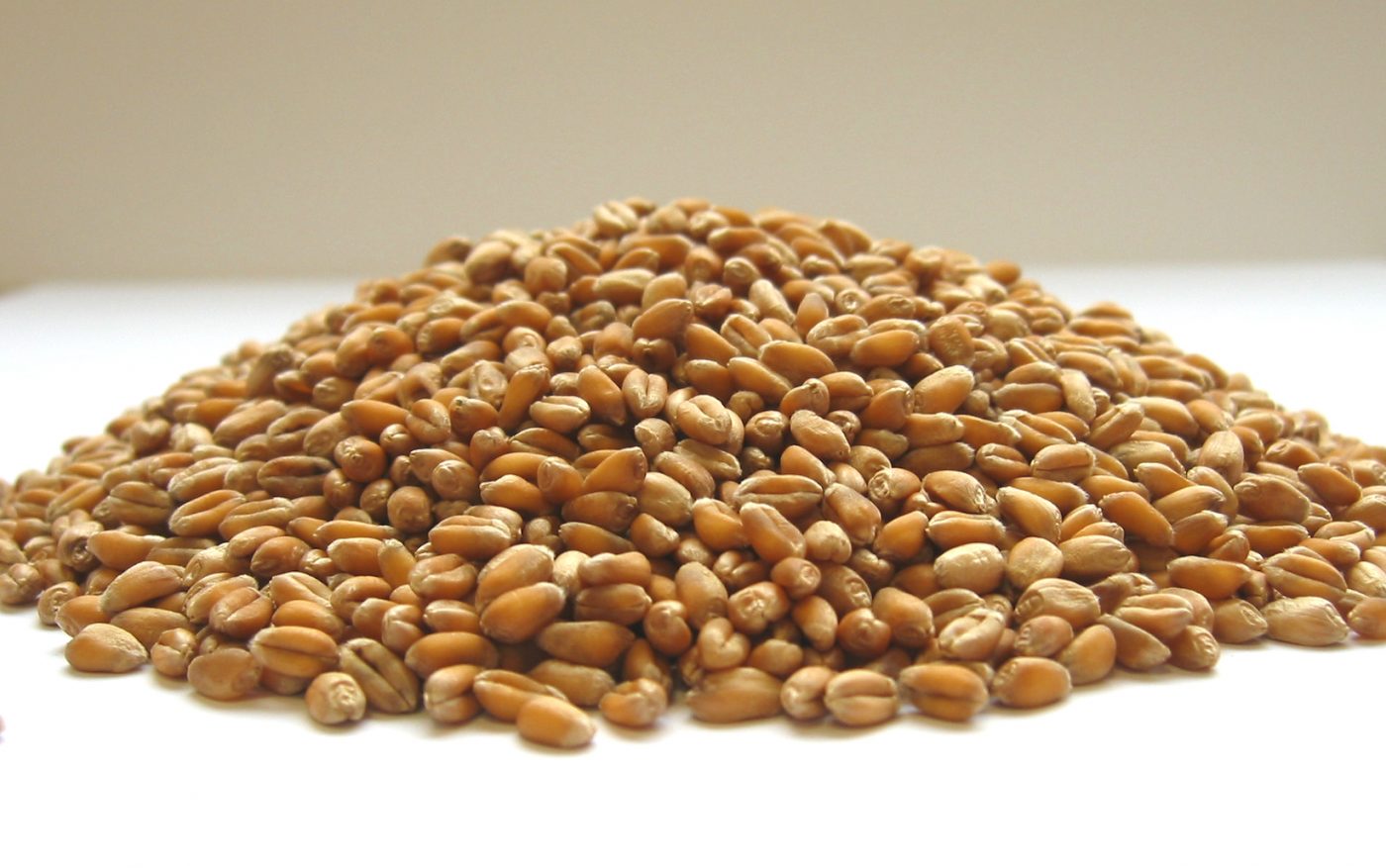 La sélection variétale | Florimond Desprez